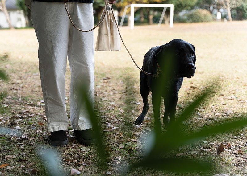 Information – we dog & cat home furnishing